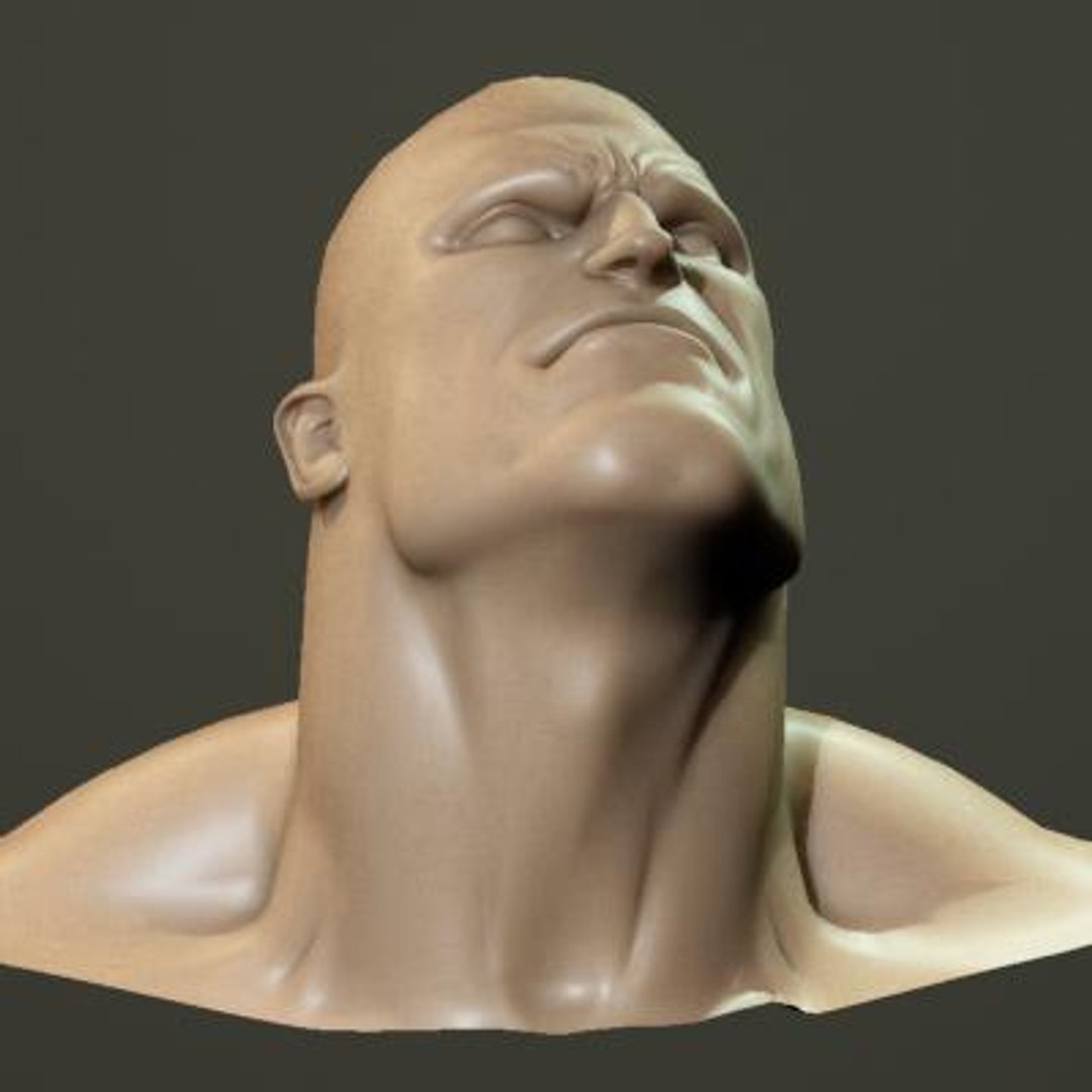 3dsmax Angry Male Head