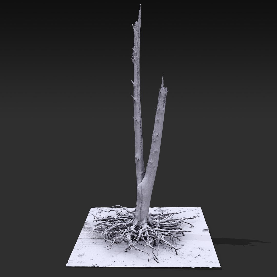Desert Tree Standing 01 3D Model - TurboSquid 1380485