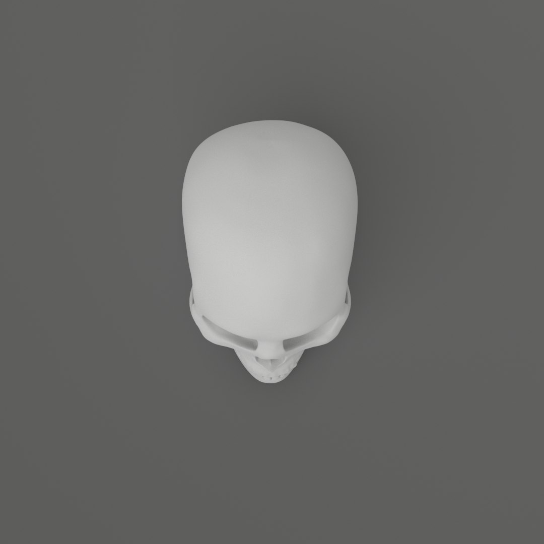 3d Model Skull Blender