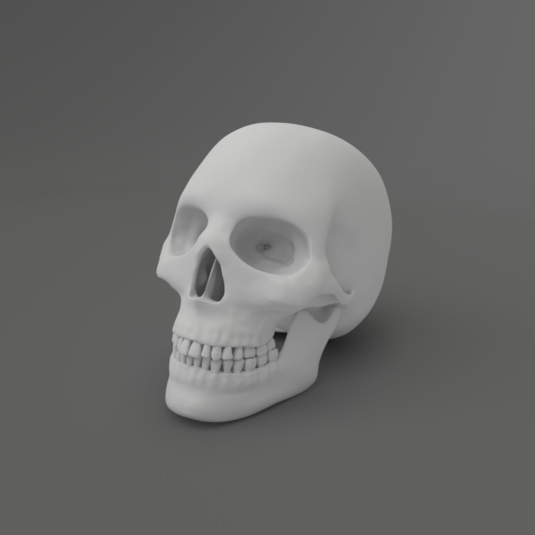3d Model Skull Blender