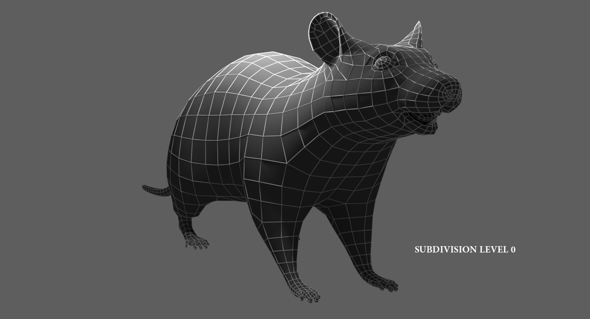 3D Real Rat Rigged Realistic - TurboSquid 1384736