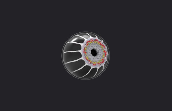 Sci-fi Eye 21 3D model - TurboSquid 2016750