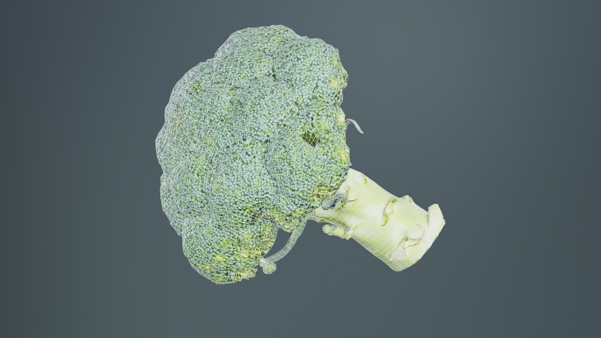 3D Broccoli Remastered - TurboSquid 2362424