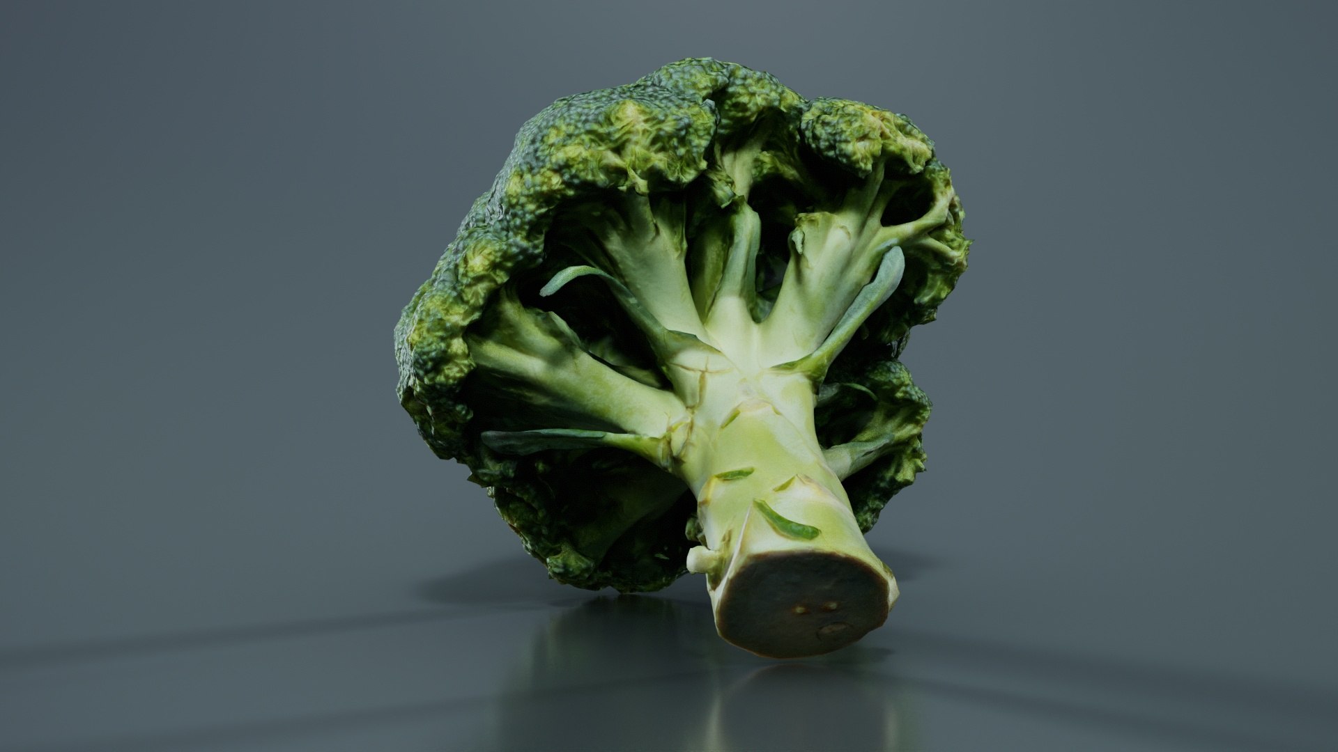 3D Broccoli Remastered - TurboSquid 2362424