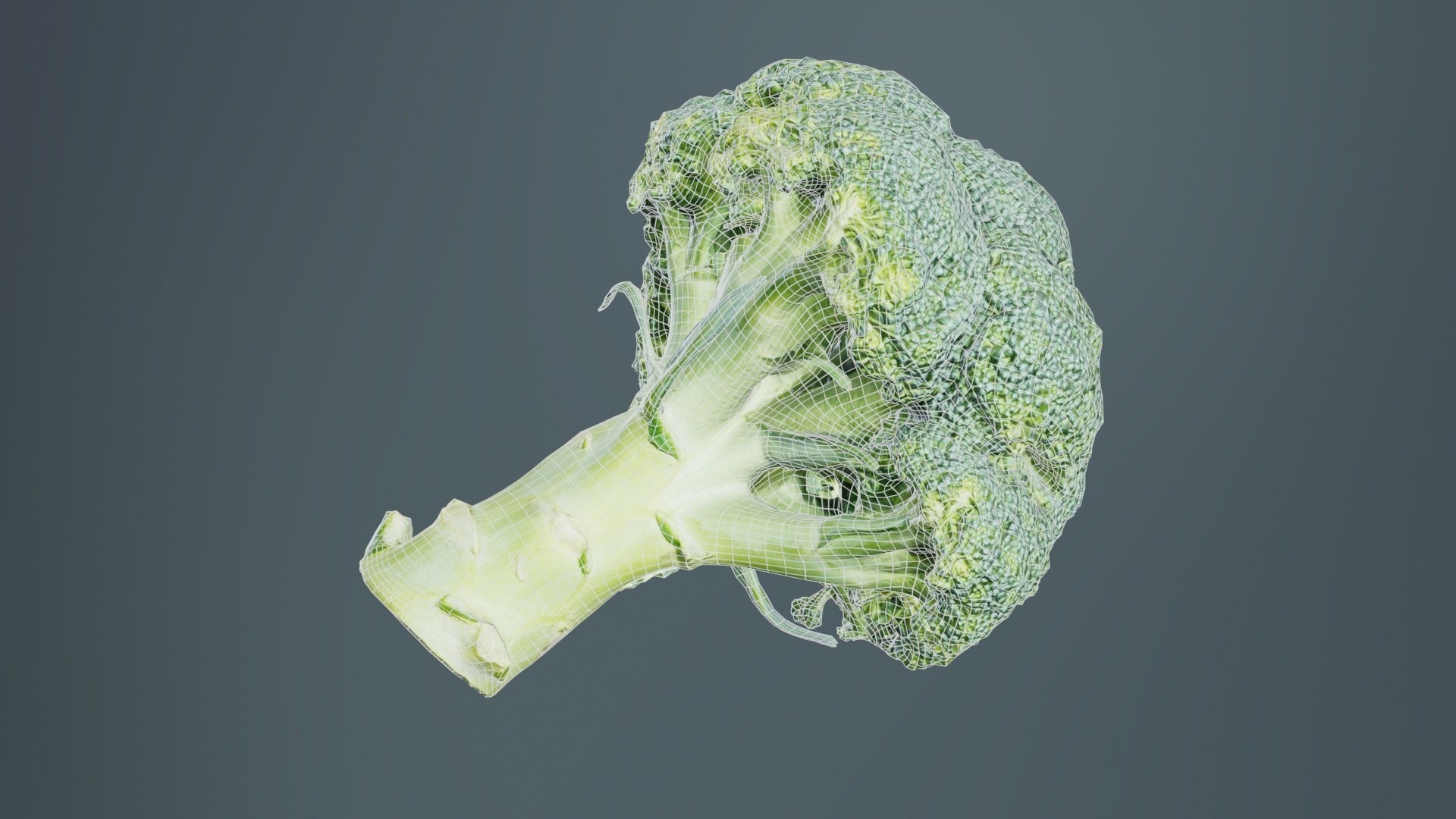 3D Broccoli Remastered - TurboSquid 2362424