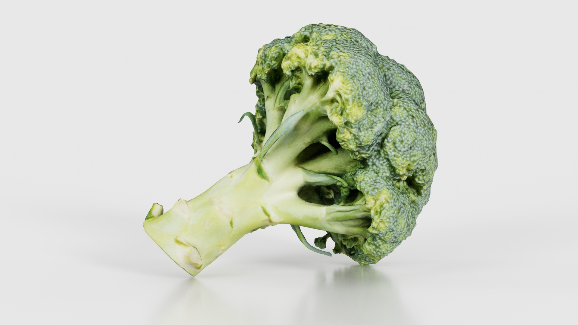 3D Broccoli Remastered - TurboSquid 2362424