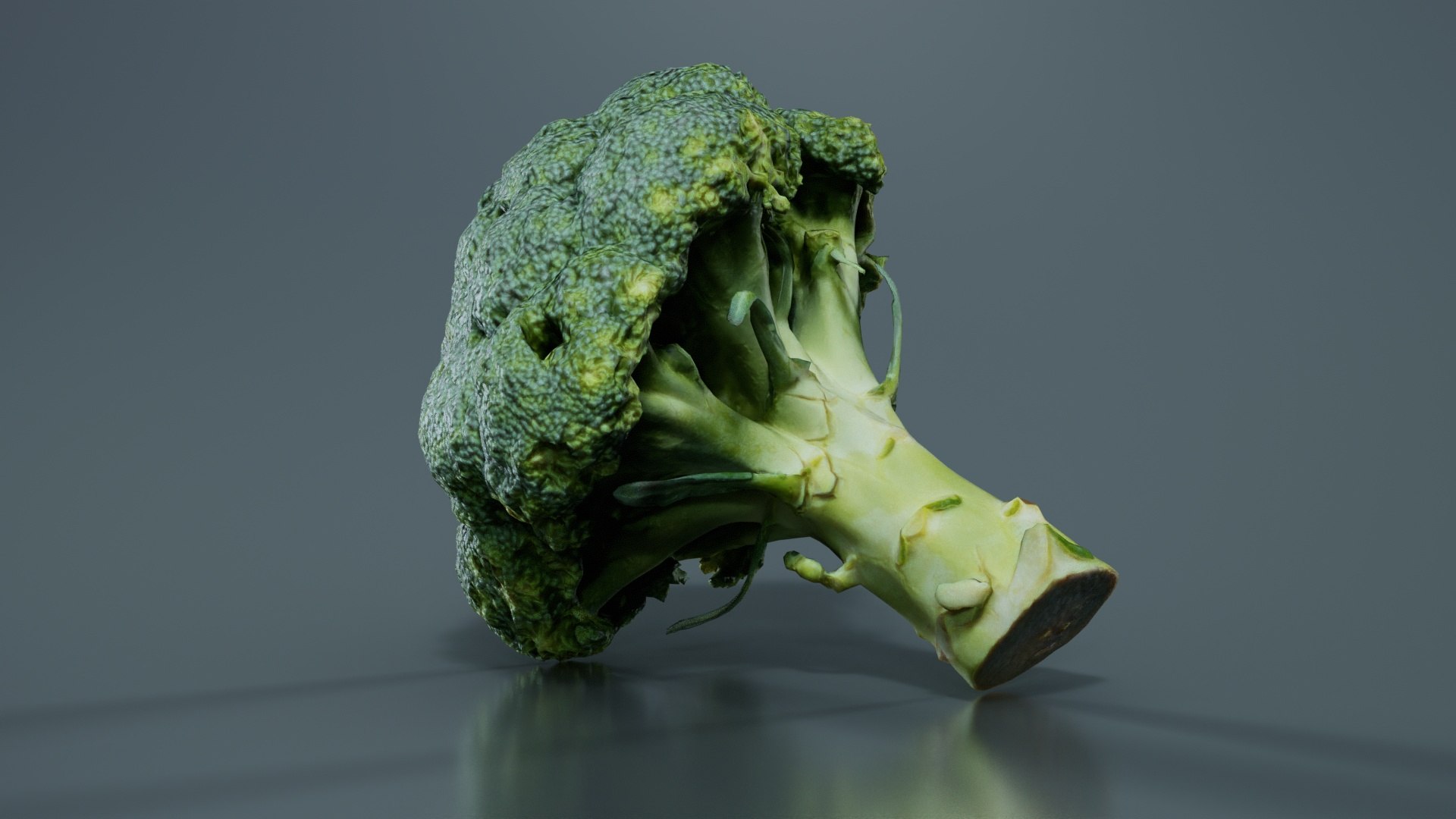 3D Broccoli Remastered - TurboSquid 2362424