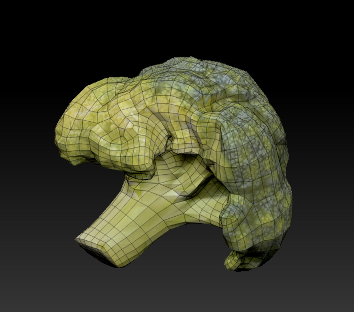 3D Scanned Broccoli Model - TurboSquid 1474268