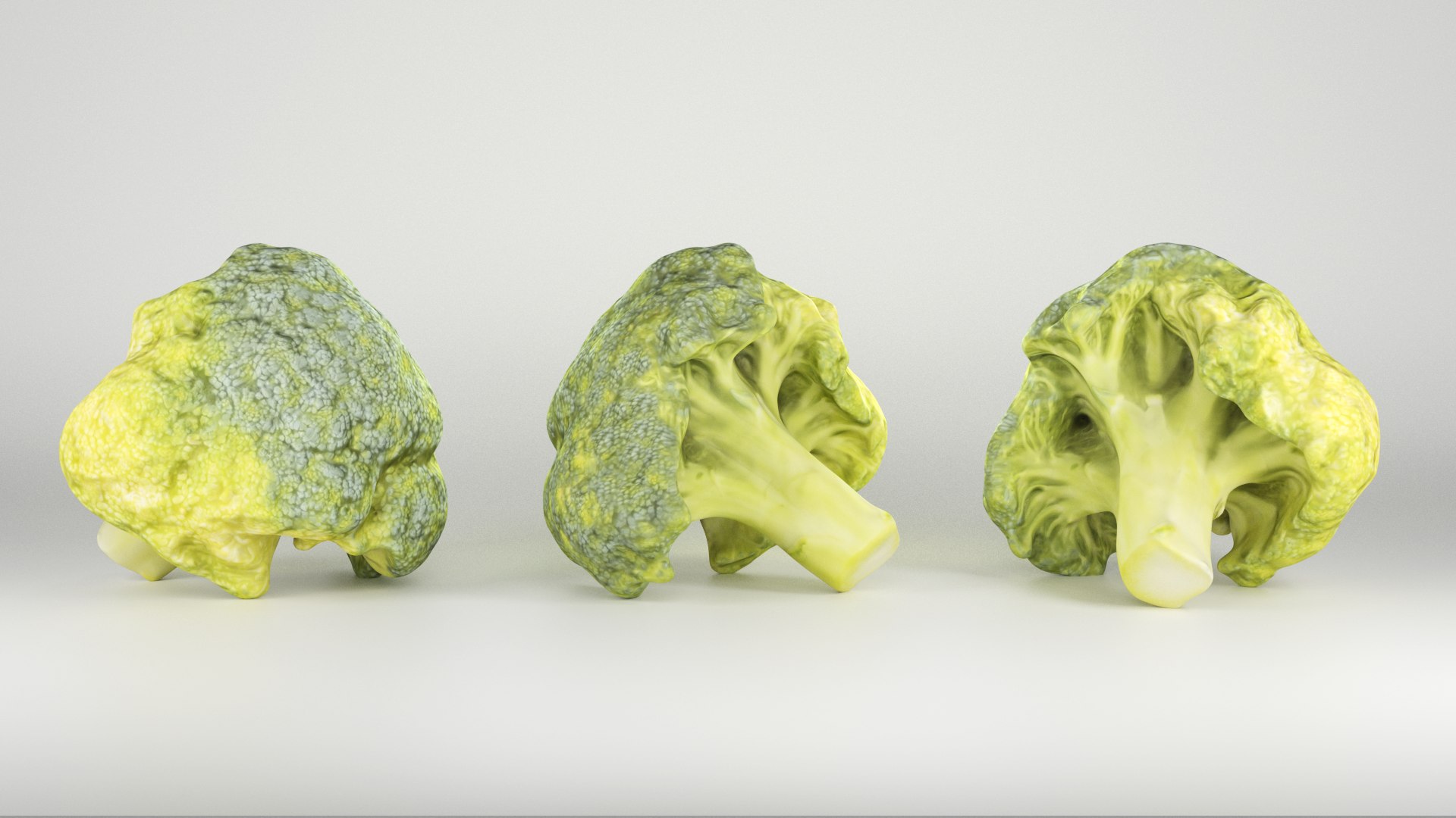 3D Scanned Broccoli Model - TurboSquid 1474268