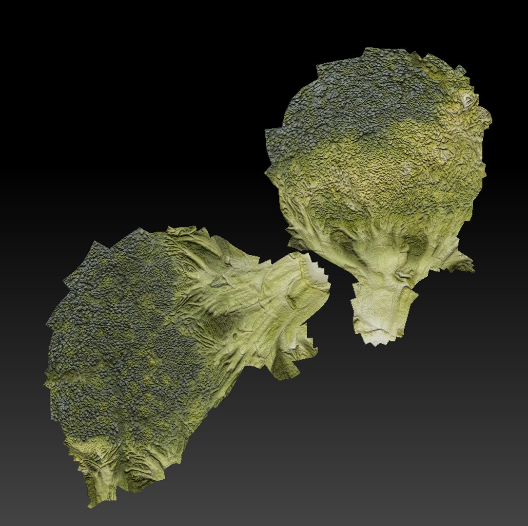 3D Scanned Broccoli Model - TurboSquid 1474268