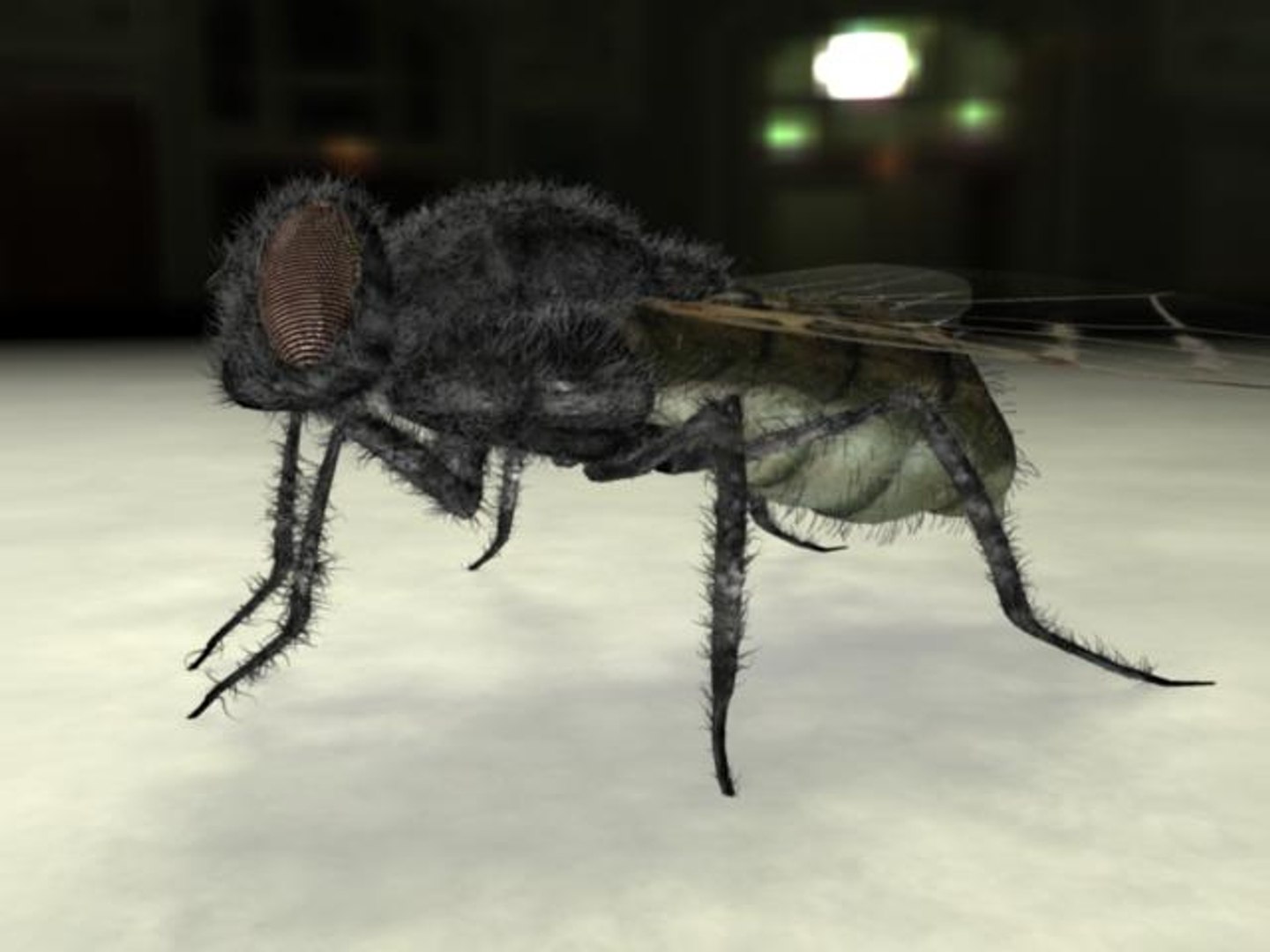 3ds Max Fly Hair