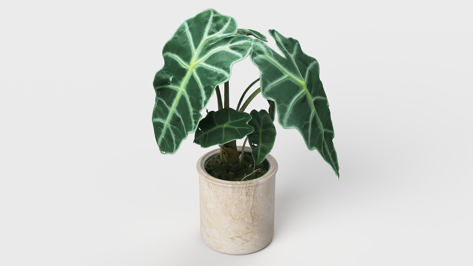Plant Deco Collection 03 3D model - TurboSquid 2154719