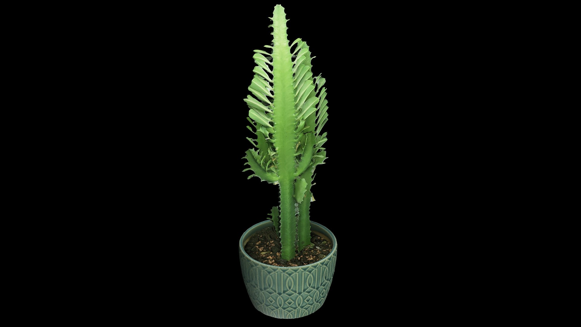 Plant Deco Collection 03 3D model - TurboSquid 2154719