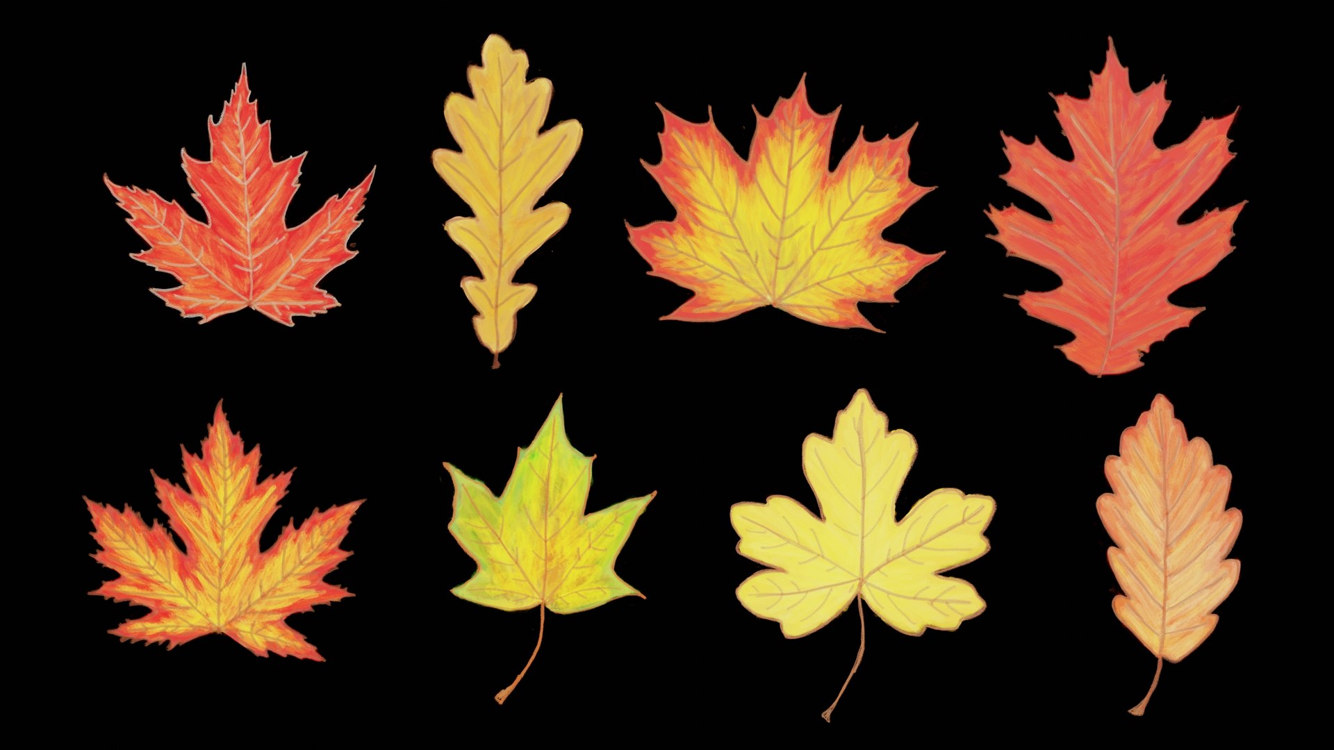 3D Model Stylized Fall Autumn Asset Pack - TurboSquid 2283088