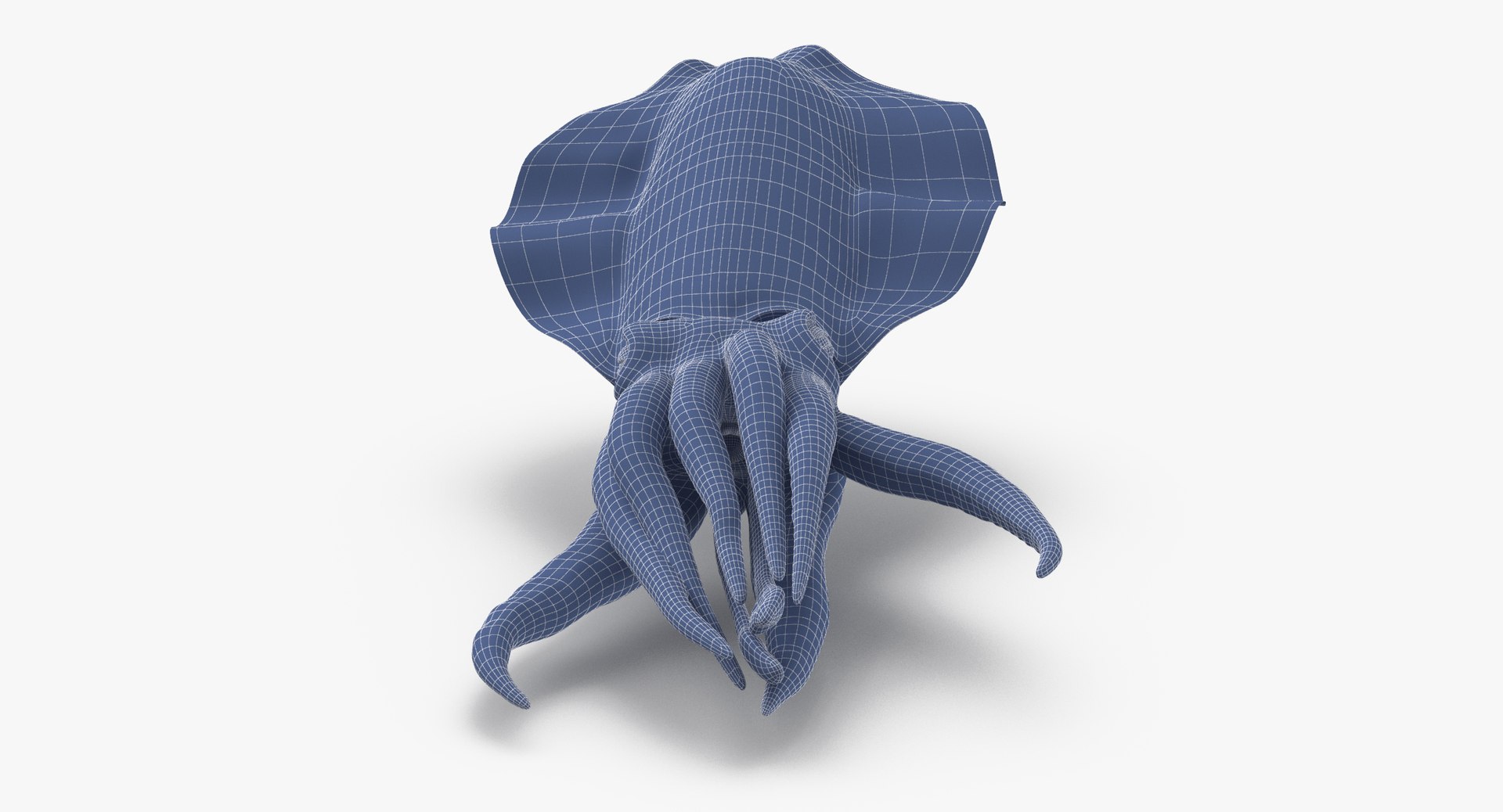 3d squid rigged - model