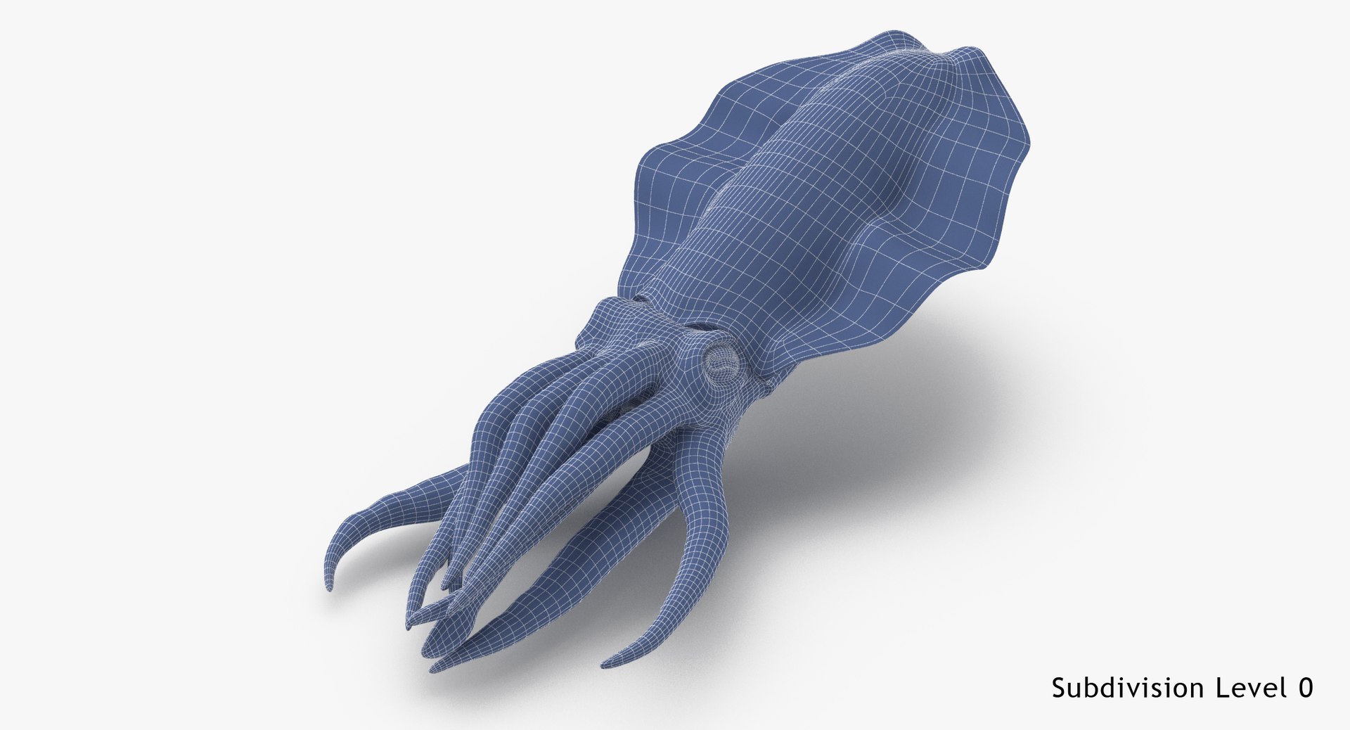 3d squid rigged - model