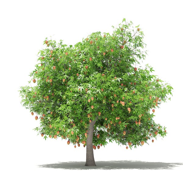 Free 3D Mango-Tree Models | TurboSquid