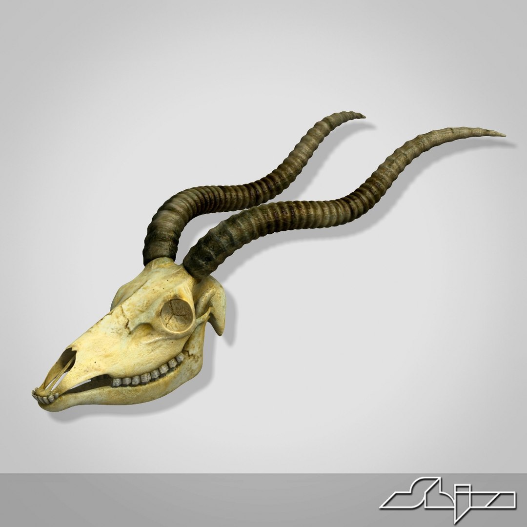 Goat Skull Max