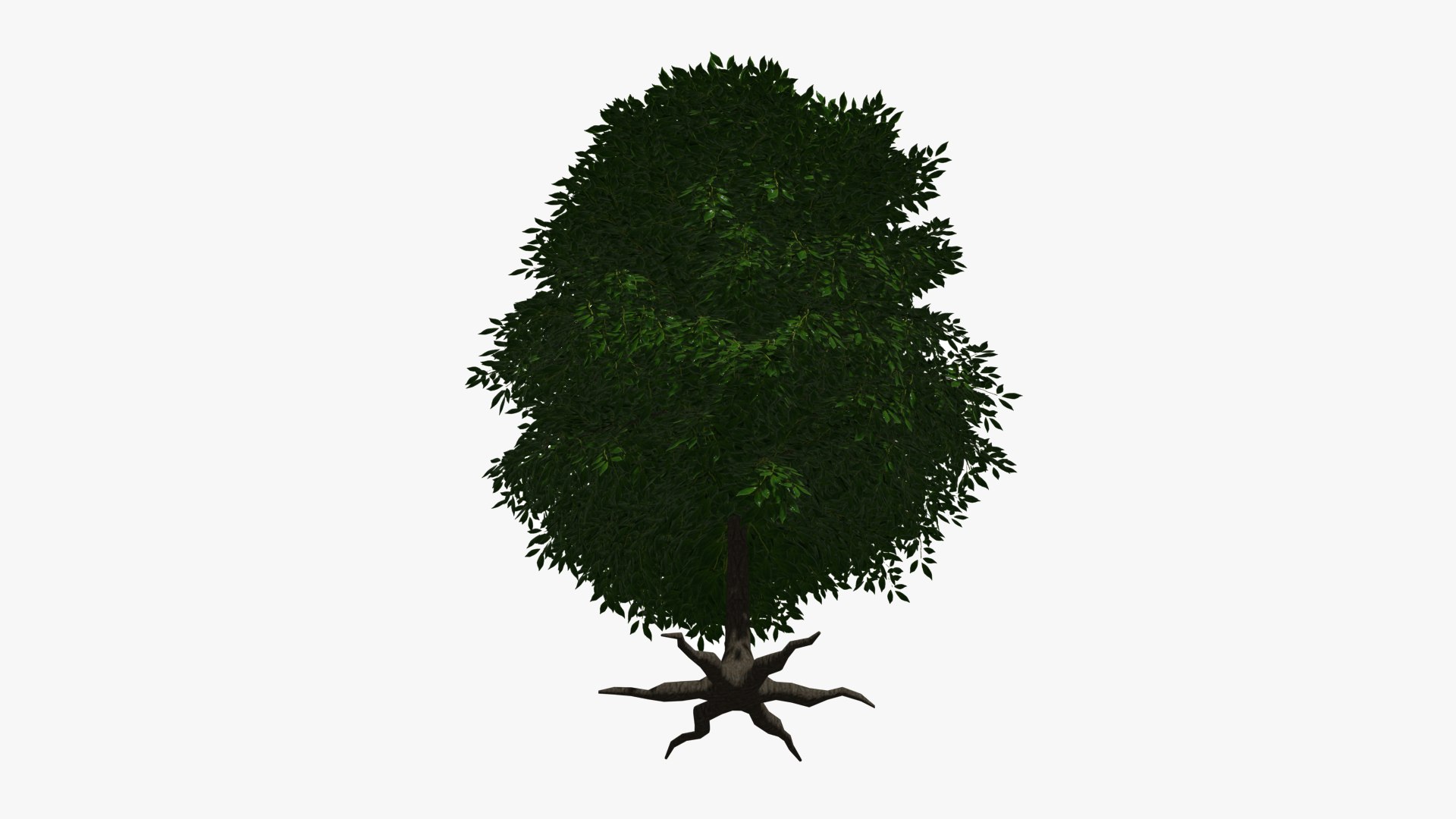 3D Arbol Frezno - TurboSquid 2074825