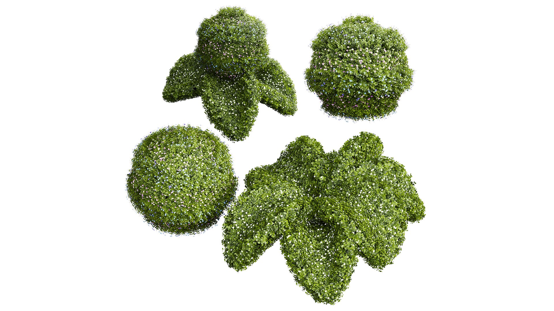 3D New Plant Bacopa Diffusa Sutera Decorative02 - TurboSquid 2186793