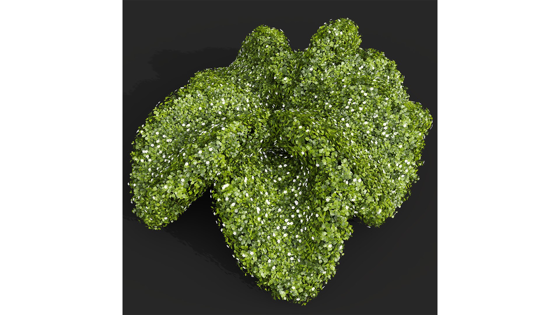 3D New Plant Bacopa Diffusa Sutera Decorative02 - TurboSquid 2186793