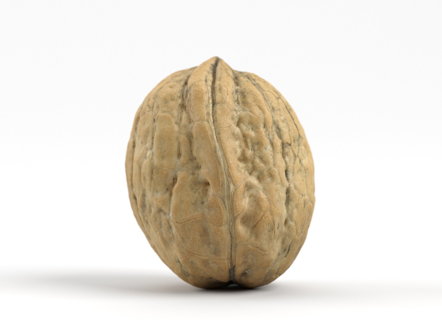 Photorealistic Walnut 3D Model - TurboSquid 1274935