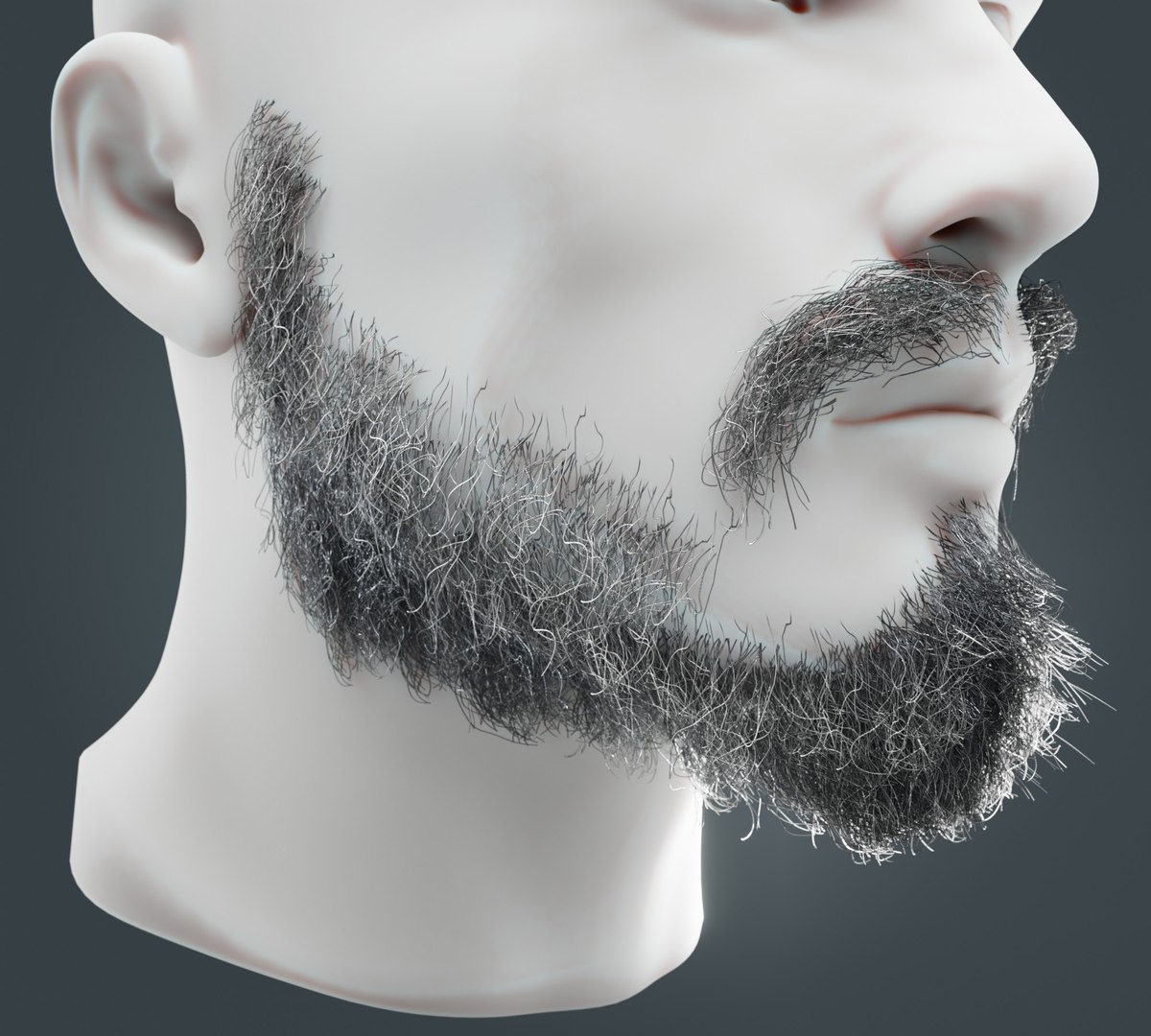 Beard RealTime 8 Version 2 3D model - TurboSquid 1892350