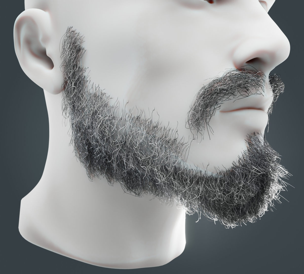 Beard RealTime 8 Version 2 3D model - TurboSquid 1892350