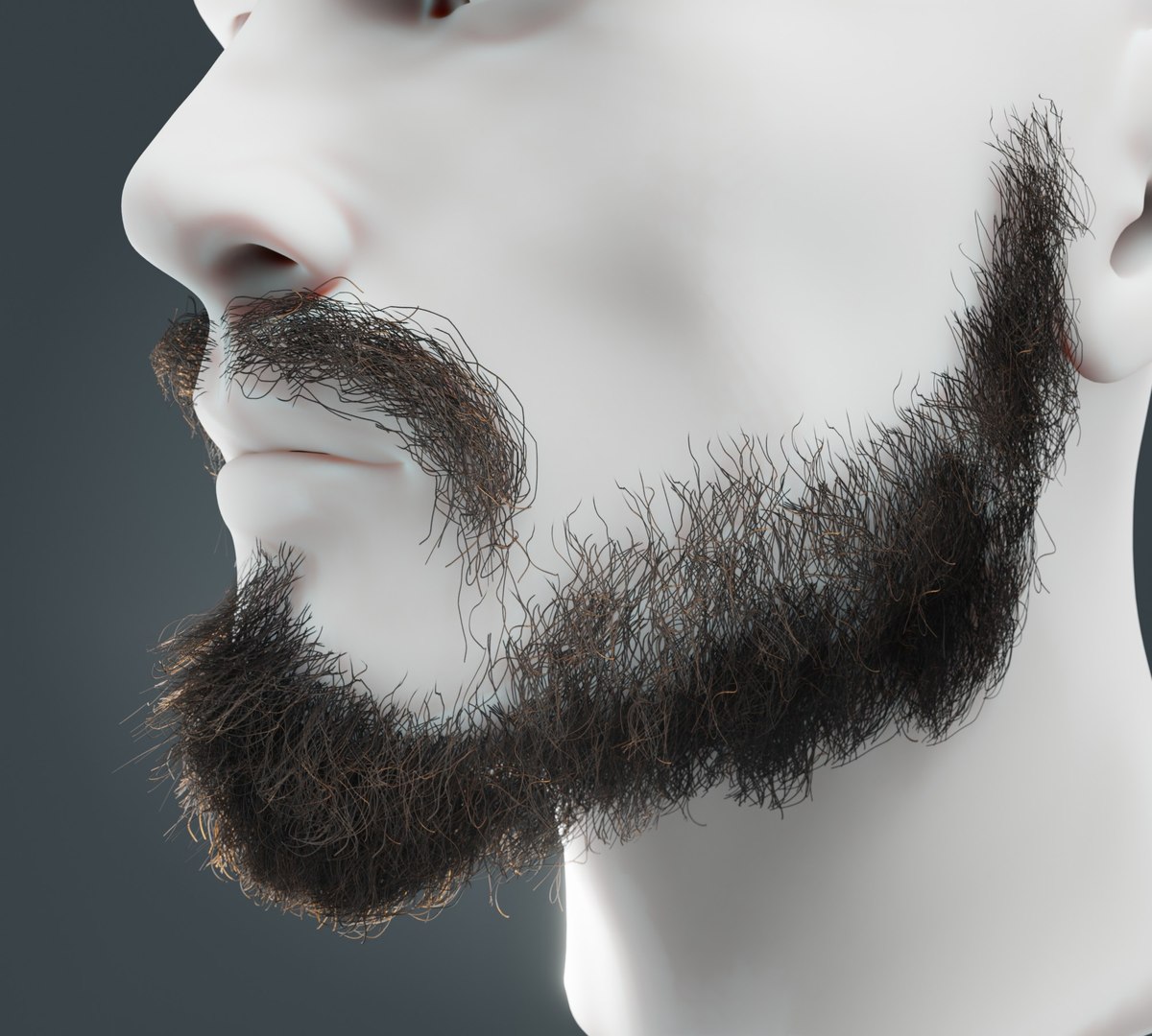 Beard RealTime 8 Version 2 3D model - TurboSquid 1892350