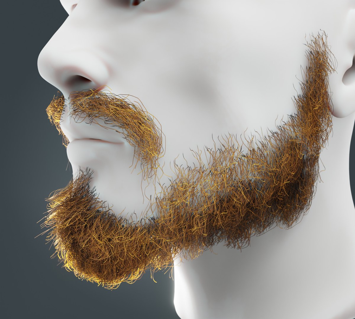 Beard RealTime 8 Version 2 3D model - TurboSquid 1892350