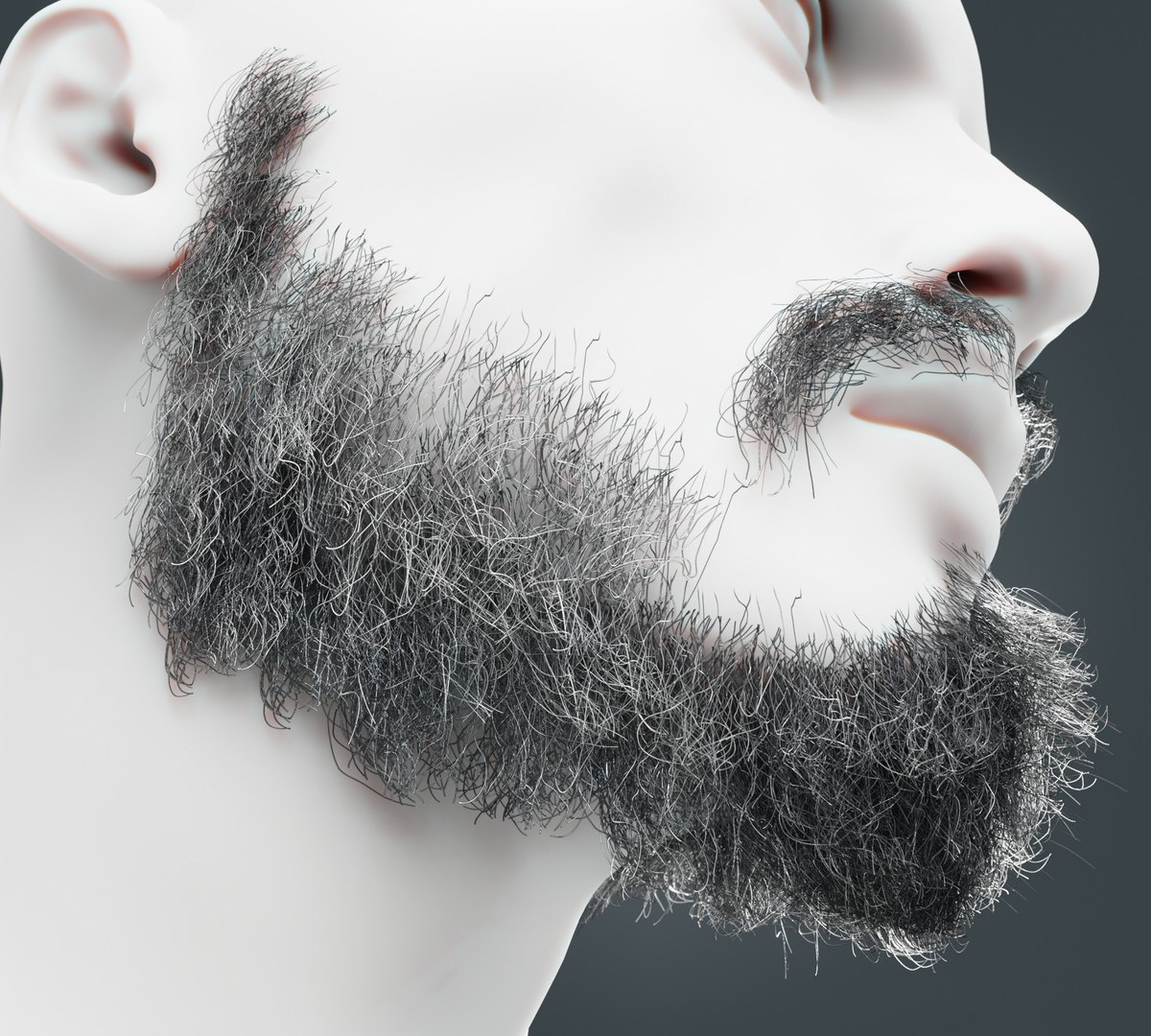 Beard RealTime 8 Version 2 3D model - TurboSquid 1892350