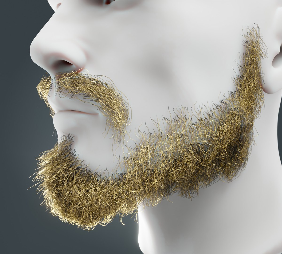 Beard RealTime 8 Version 2 3D model - TurboSquid 1892350