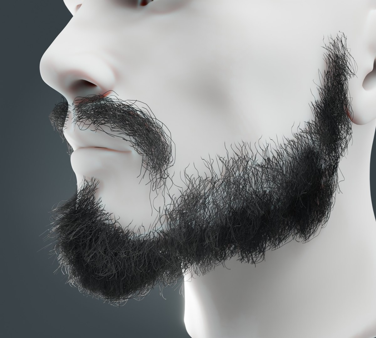 Beard RealTime 8 Version 2 3D model - TurboSquid 1892350