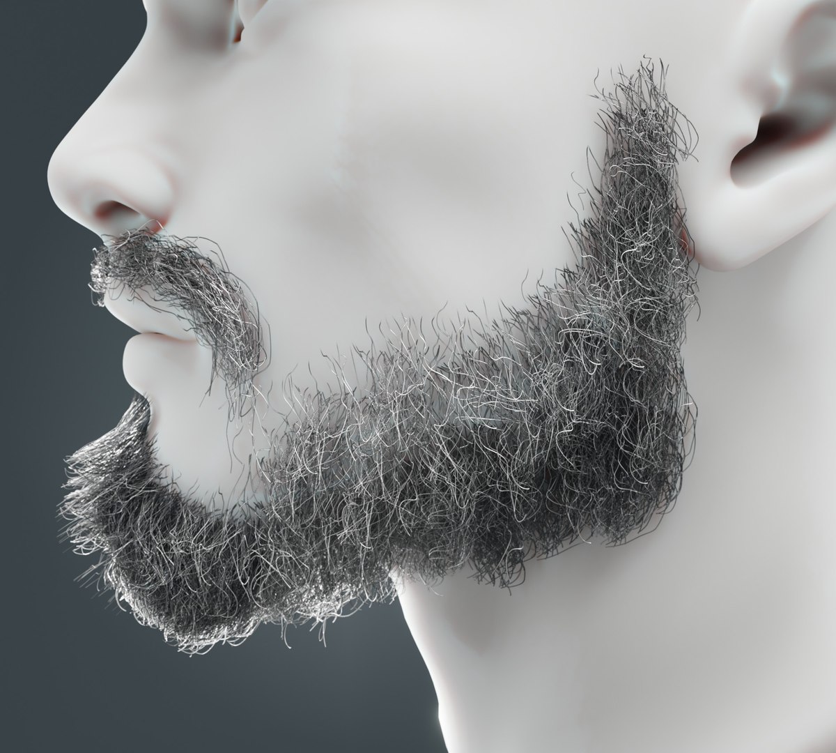 Beard RealTime 8 Version 2 3D model - TurboSquid 1892350