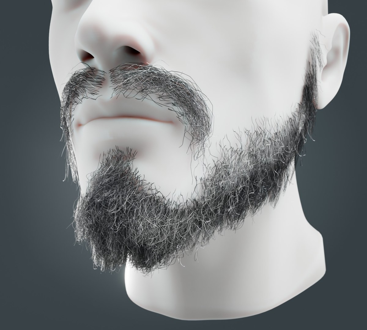 Beard RealTime 8 Version 2 3D model - TurboSquid 1892350