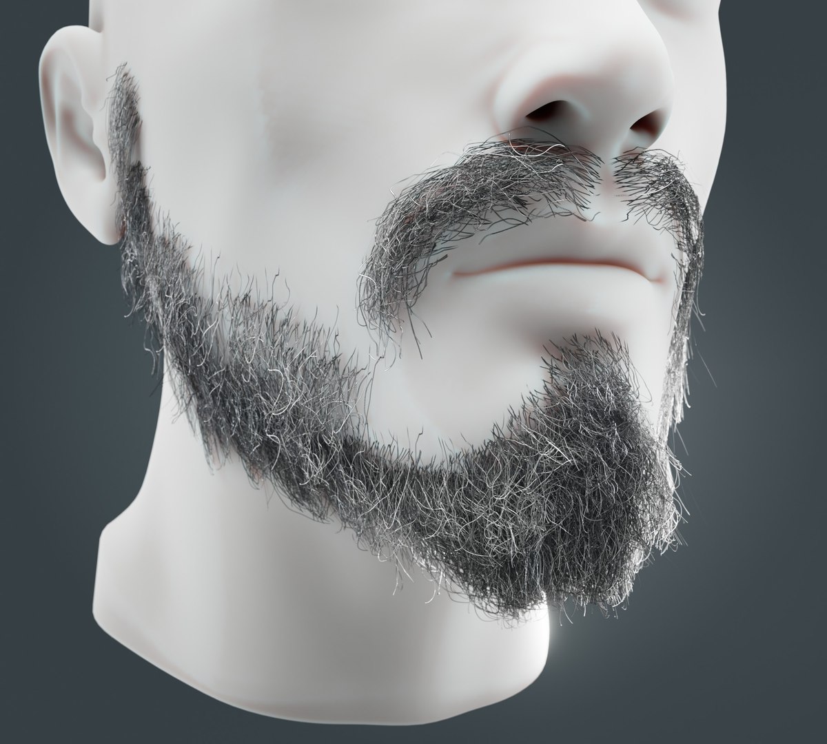 Beard RealTime 8 Version 2 3D model - TurboSquid 1892350