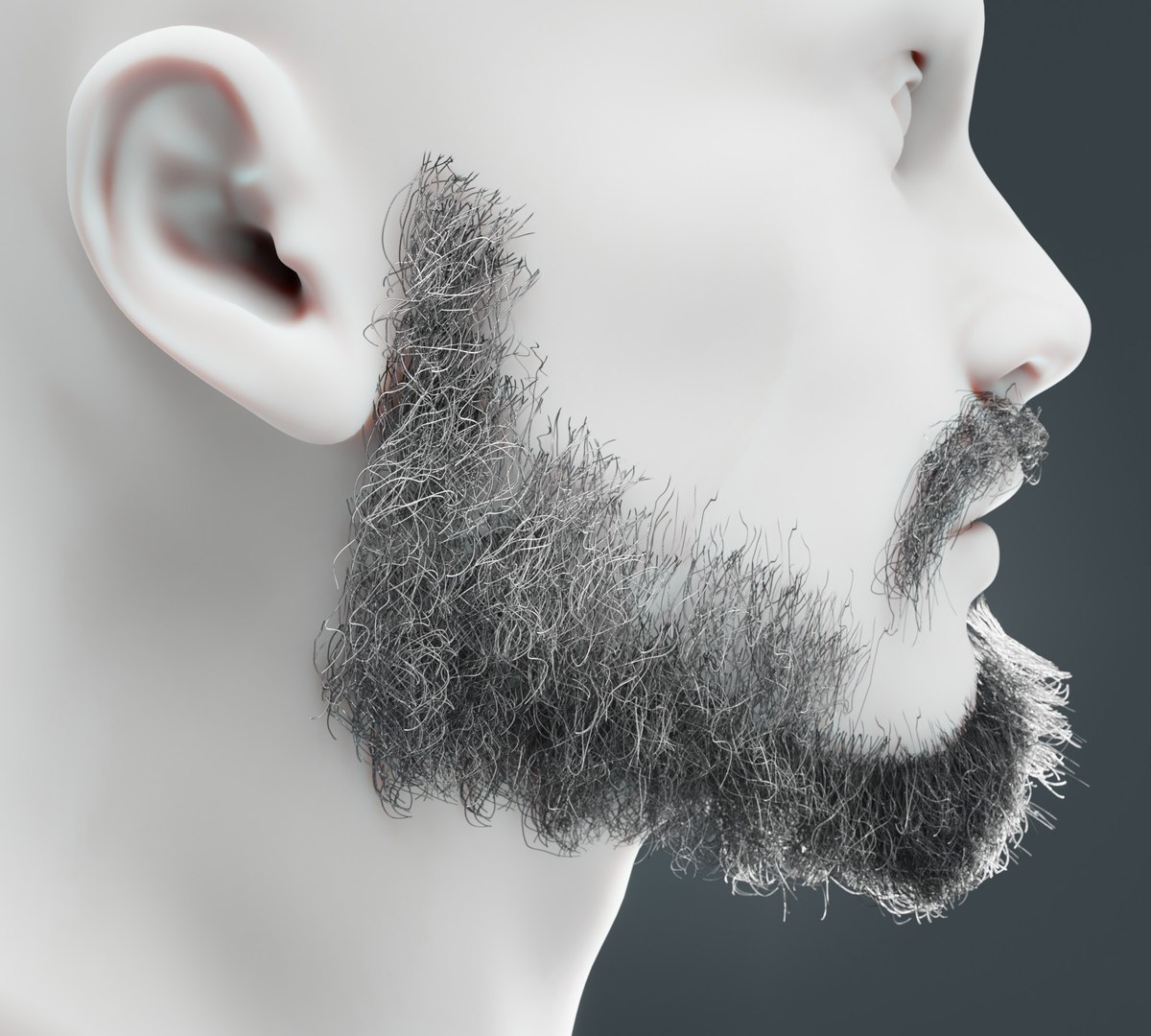 Beard RealTime 8 Version 2 3D model - TurboSquid 1892350