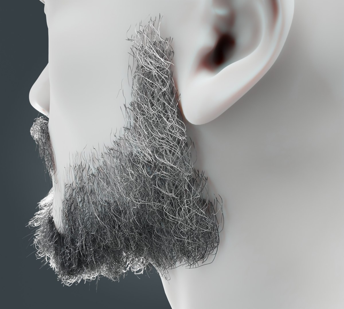 Beard RealTime 8 Version 2 3D model - TurboSquid 1892350