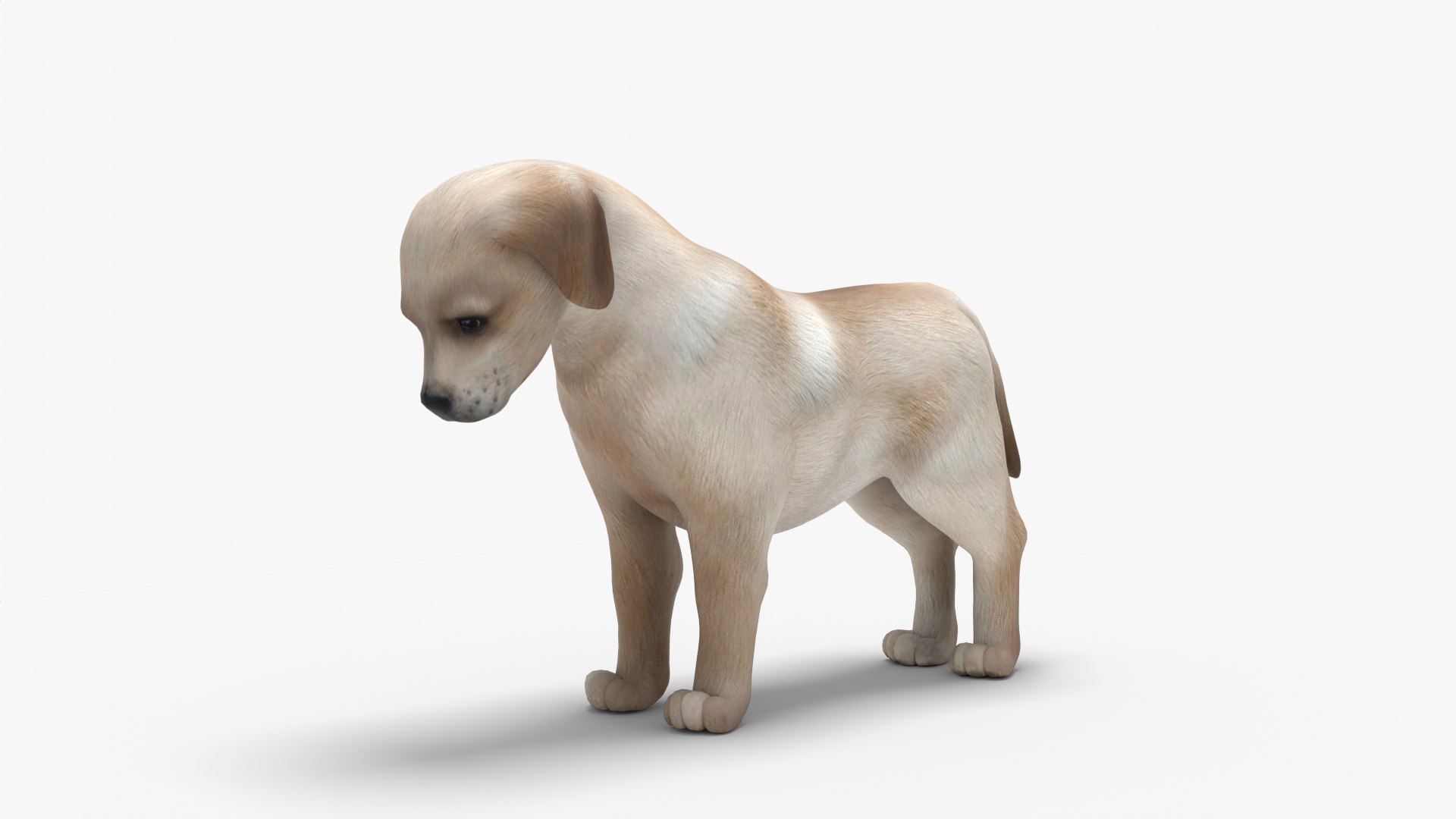 3D Puppy - TurboSquid 2344985