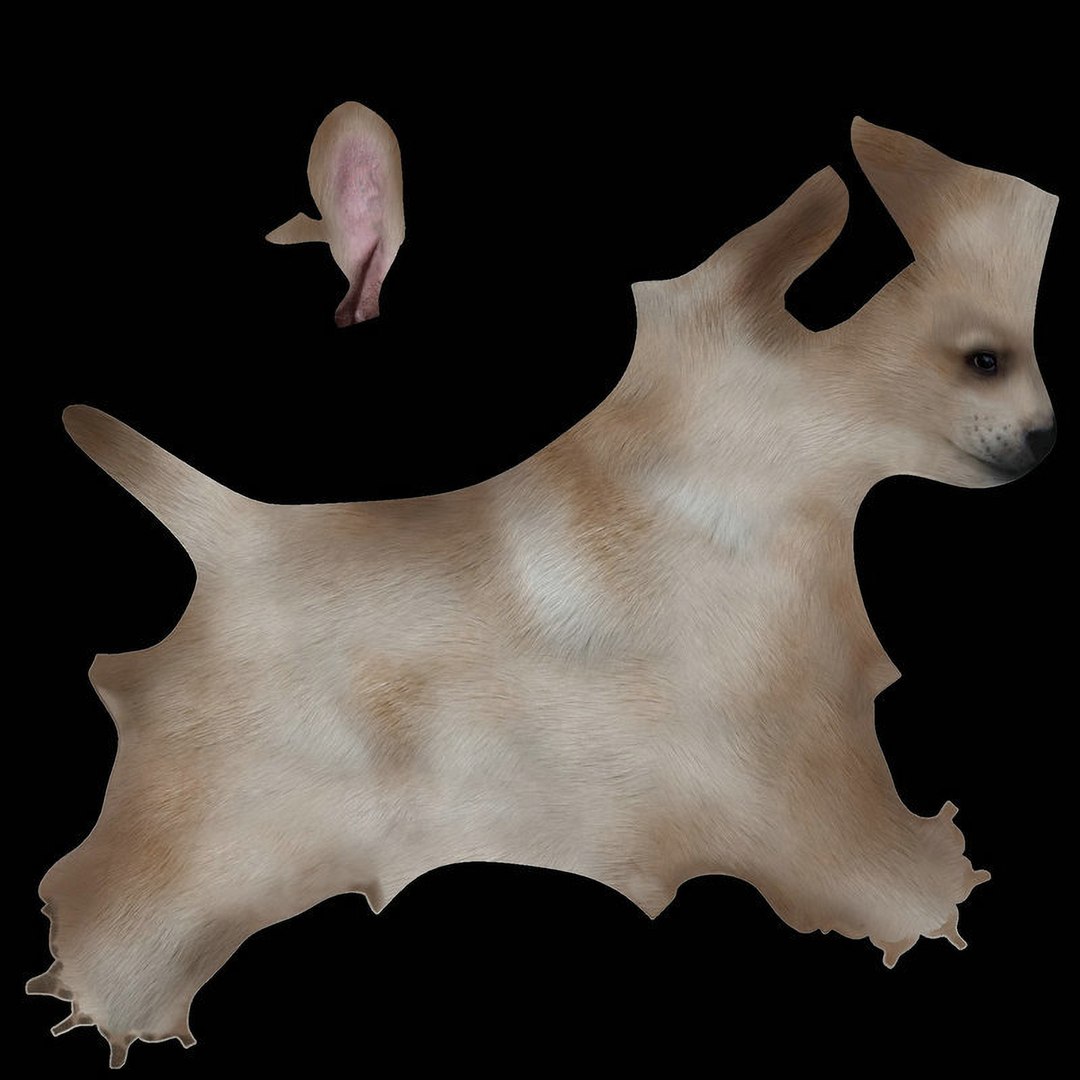 3D Puppy - TurboSquid 2344985