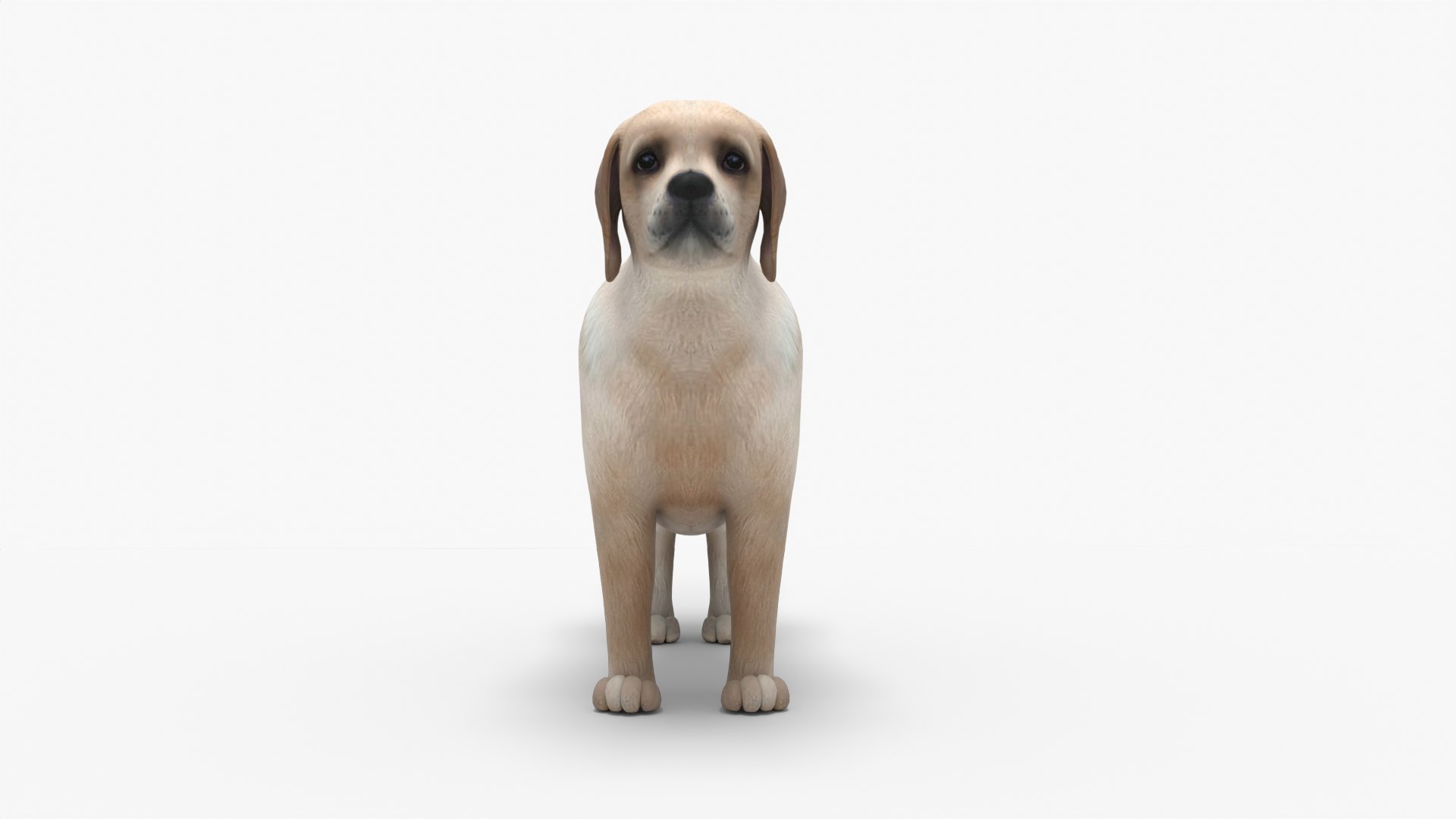 3D Puppy - TurboSquid 2344985