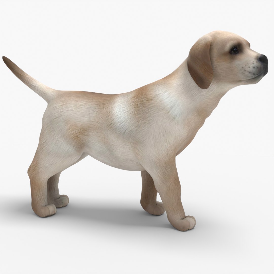 3D Puppy - TurboSquid 2344985