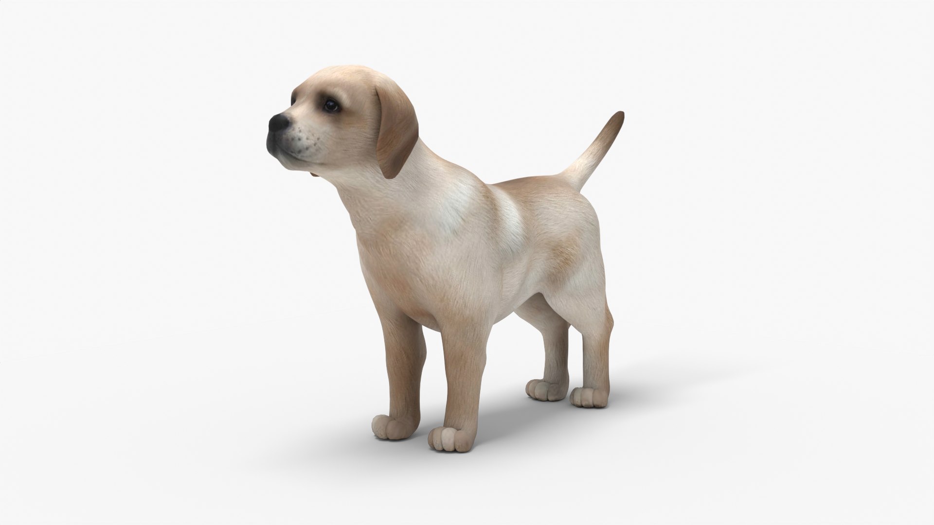 3D Puppy - TurboSquid 2344985