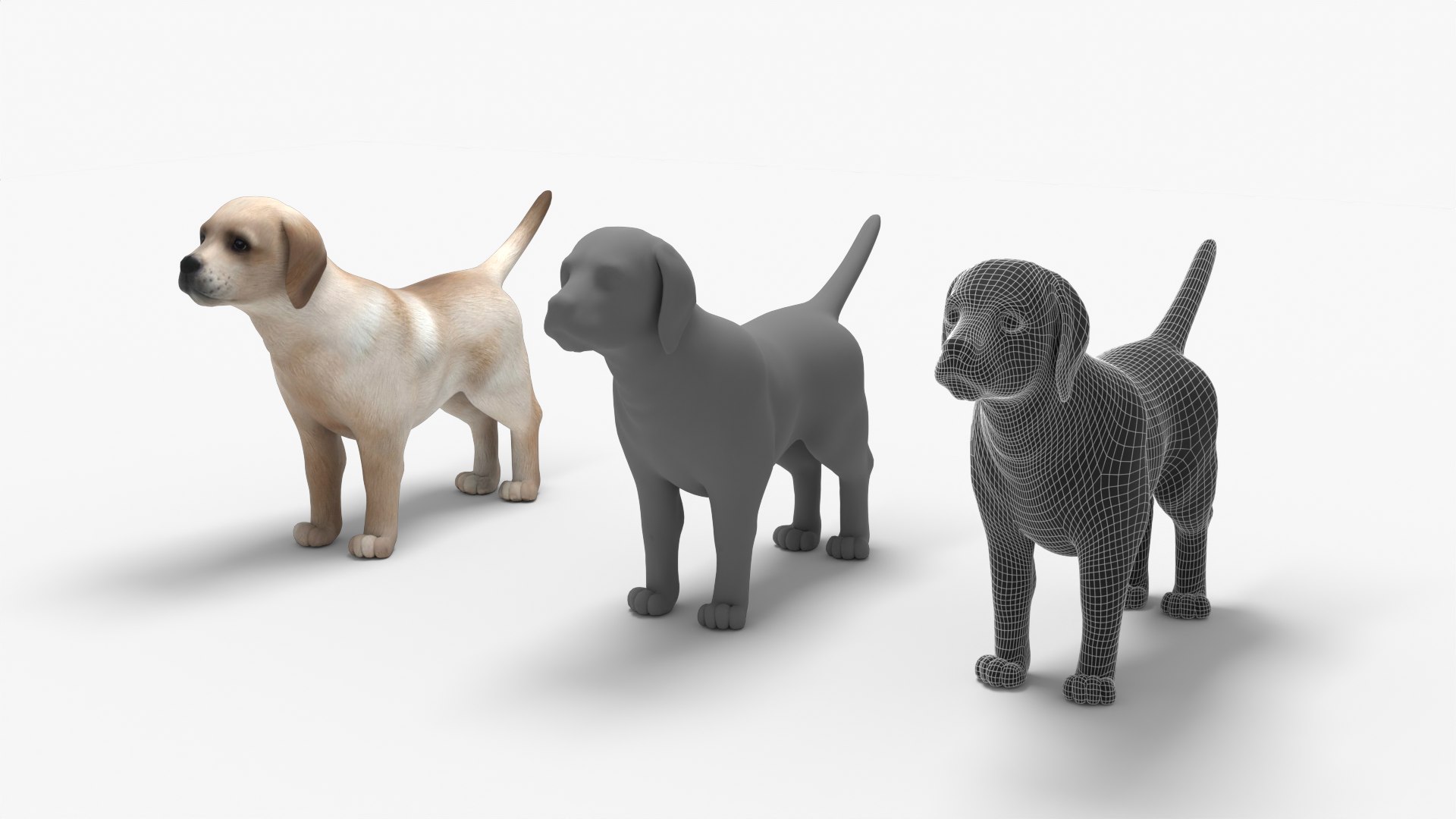3D Puppy - TurboSquid 2344985