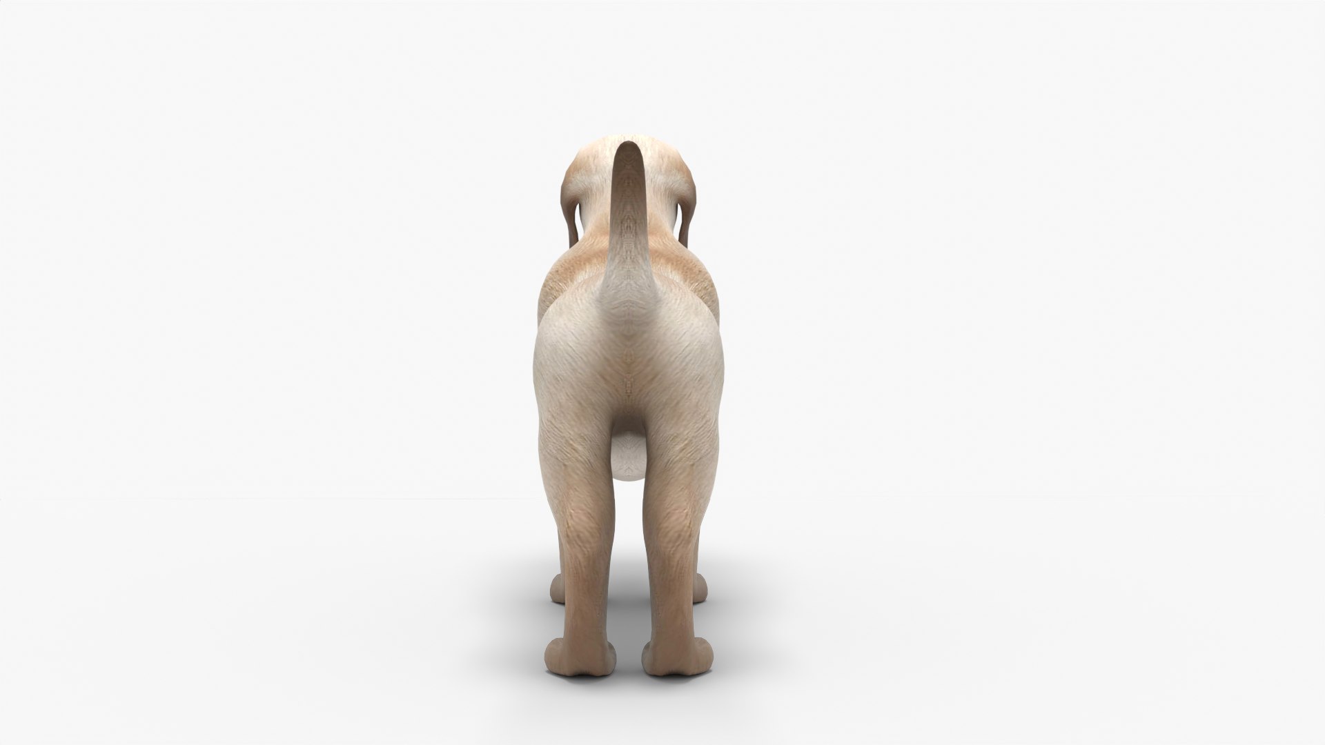 3D Puppy - TurboSquid 2344985