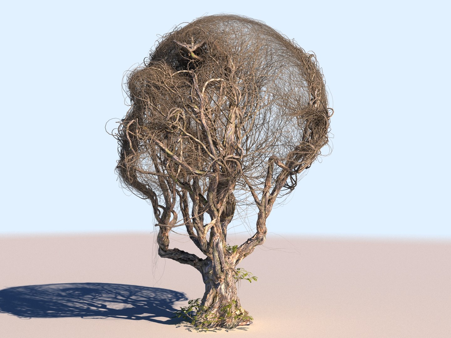 3D Model Tree Head Hd - TurboSquid 1287321