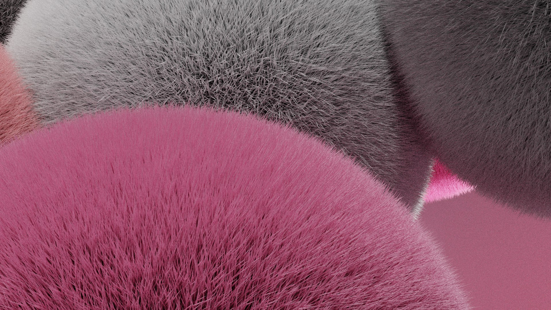 Bouncy Balls Animation 3D - TurboSquid 2232459