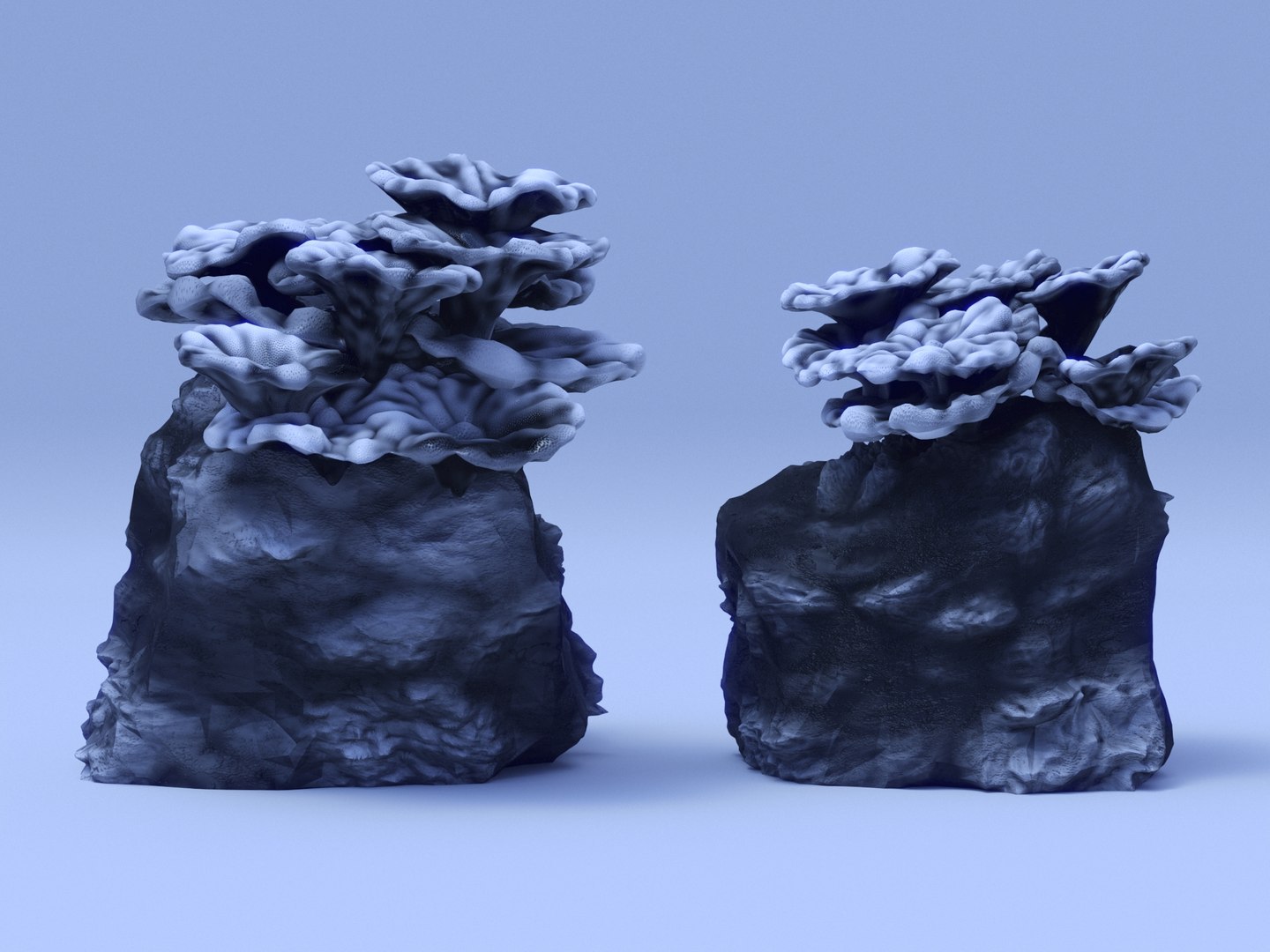 Coral Polyps 3D - TurboSquid 1562854