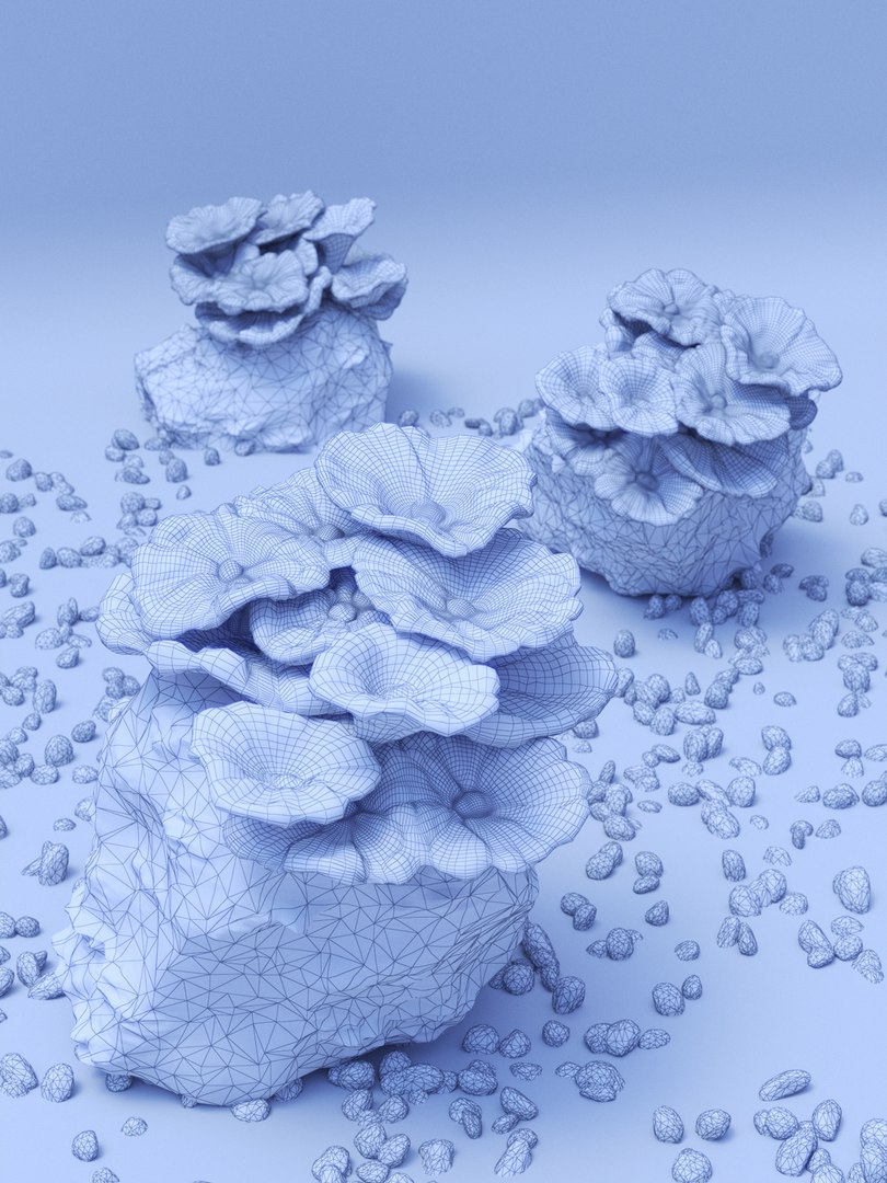 Coral Polyps 3D - TurboSquid 1562854