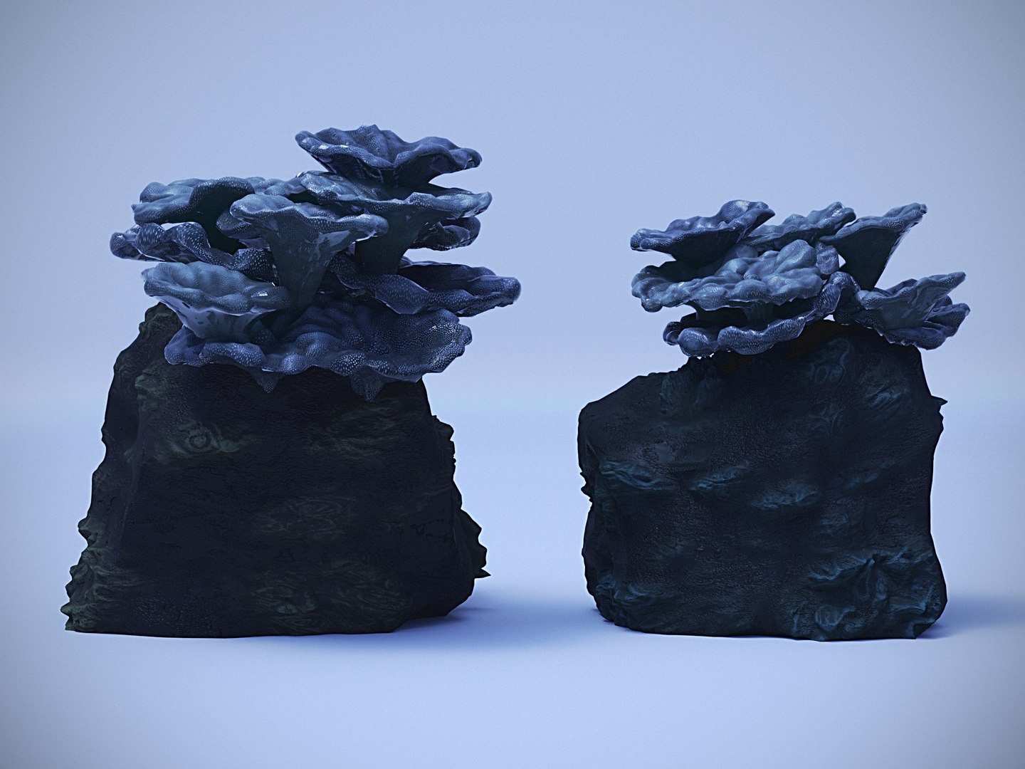 Coral Polyps 3D - TurboSquid 1562854